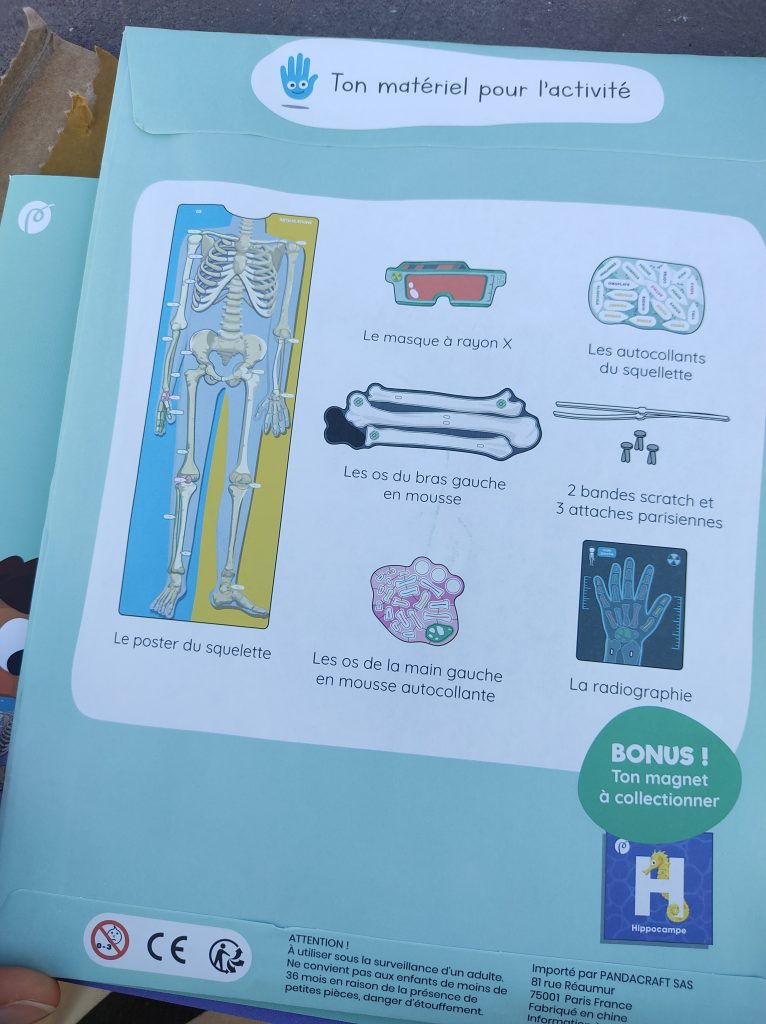 Le squelette, les os et les articulations expliqués aux enfants